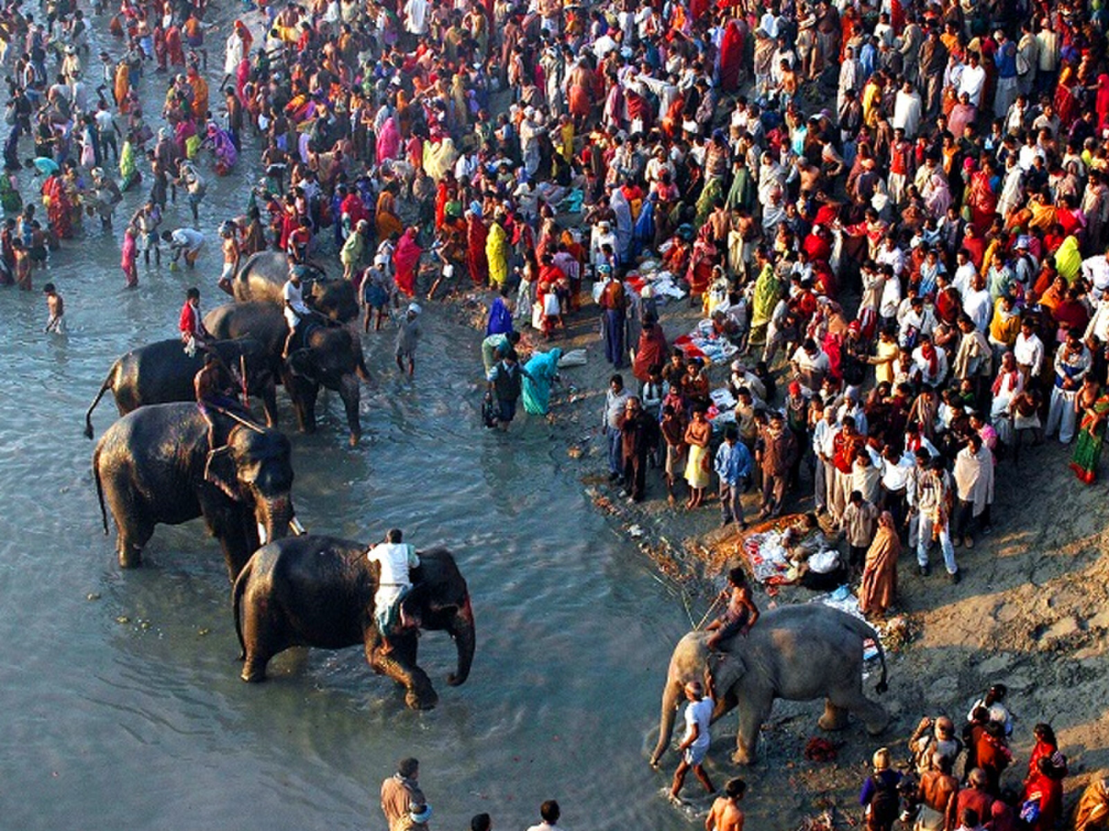 सोनपुर मेला