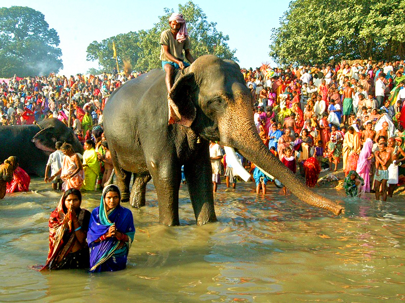 Sonepur Mela or Cattle Fair | Bihar Tourism